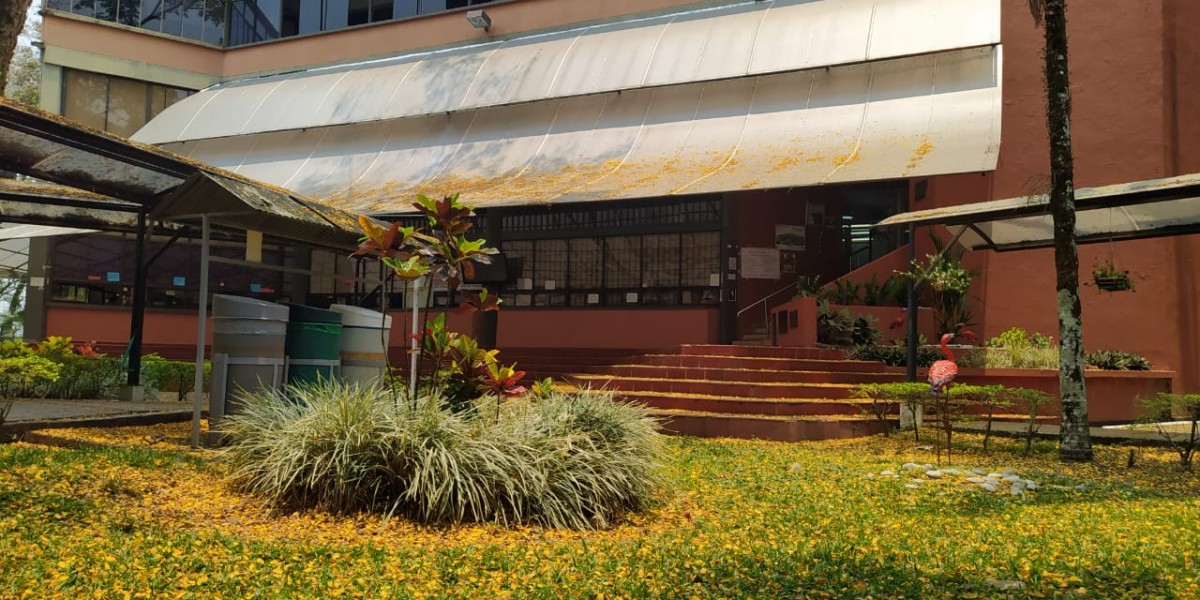 Universidad de los Llanos